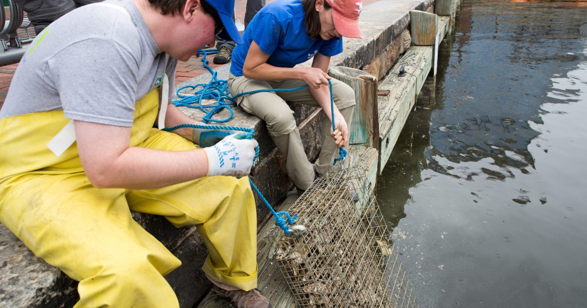 National Aquarium - Restoring Baltimore's Inner Harbor, One Biohut at a ...