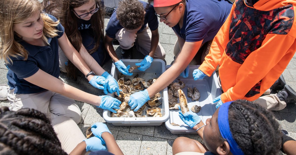 National Aquarium - Field Trips