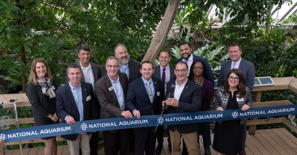 National Aquarium - National Aquarium Reopens Upland Tropical Rain Forest