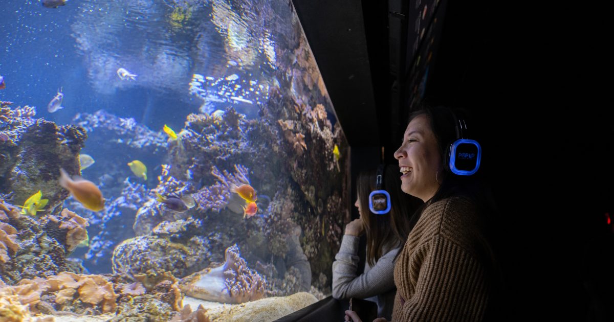 National Aquarium - 2022 Impact Report