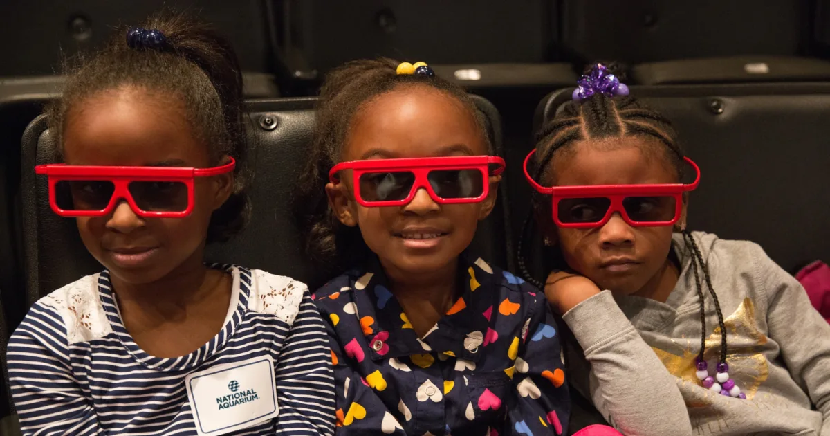 National Aquarium - Turtle Odyssey 4D